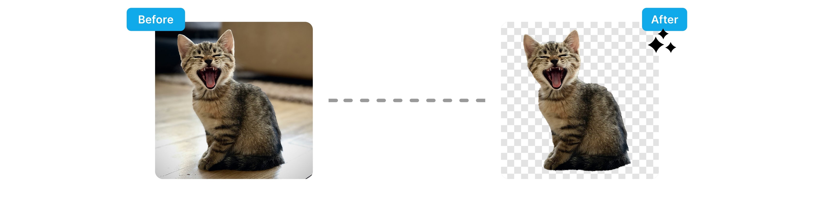 Ninja Background Remover | Free Image Background Remover Tool